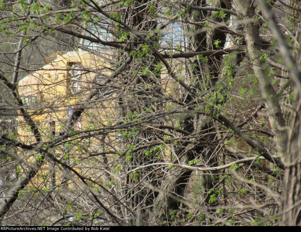 UP 7315 Hiding in the Woods